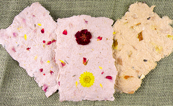 Handmade Seeded Paper