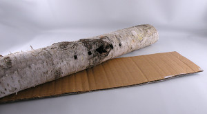 DIY Birch Log Centerpiece