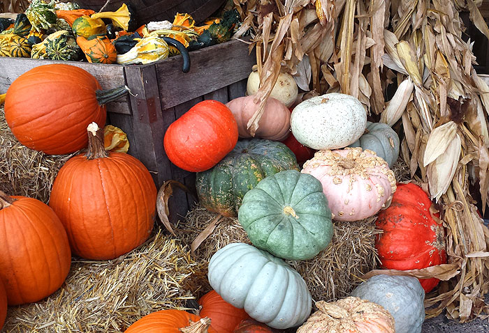 Weekly Inspiration - Gina Tepper